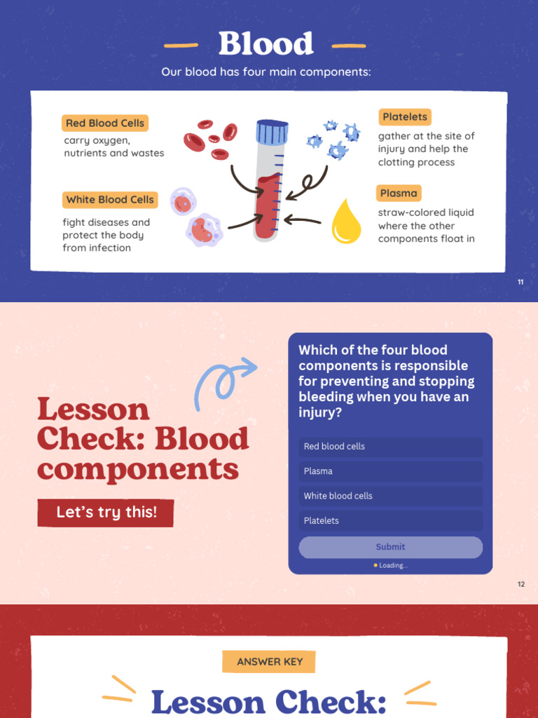 The Circulatory System Education Presentation in Peach Red Blue Hand ...