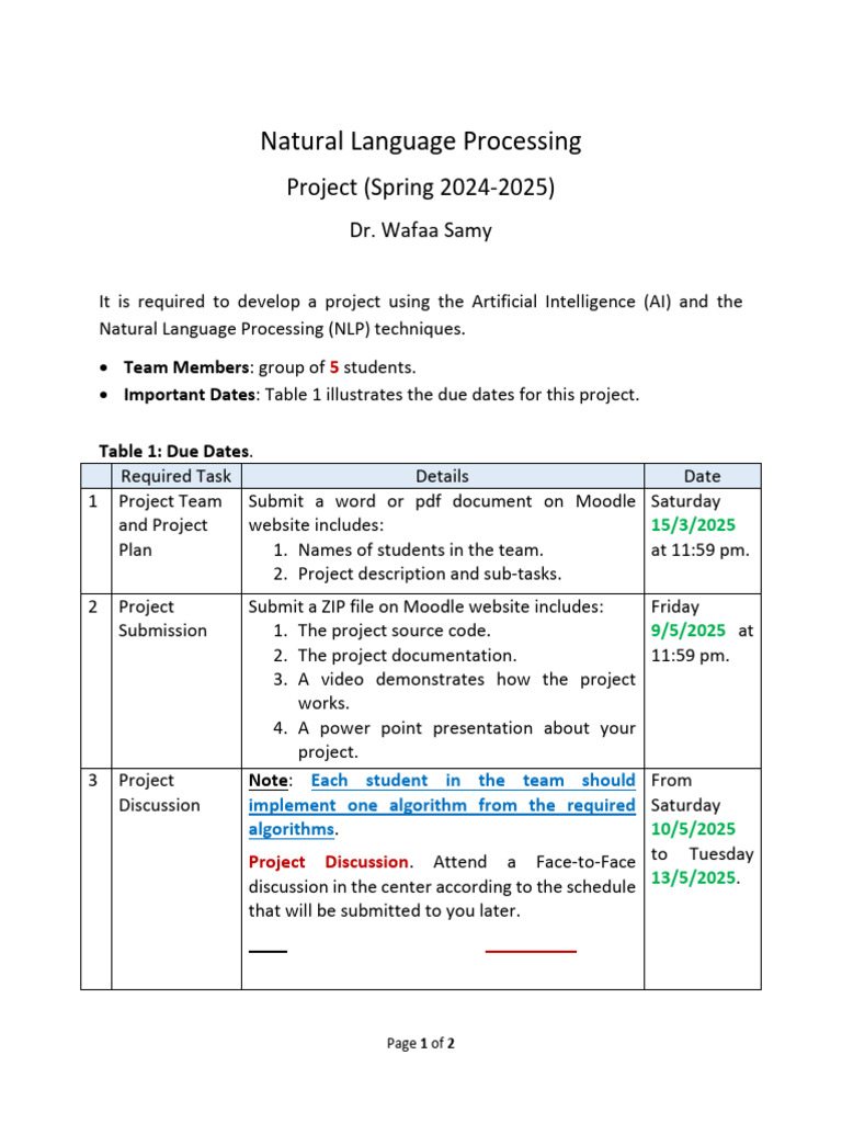 Natural Language Processing Project Spring2024-2025 | PDF | Deep Learning | Algorithms