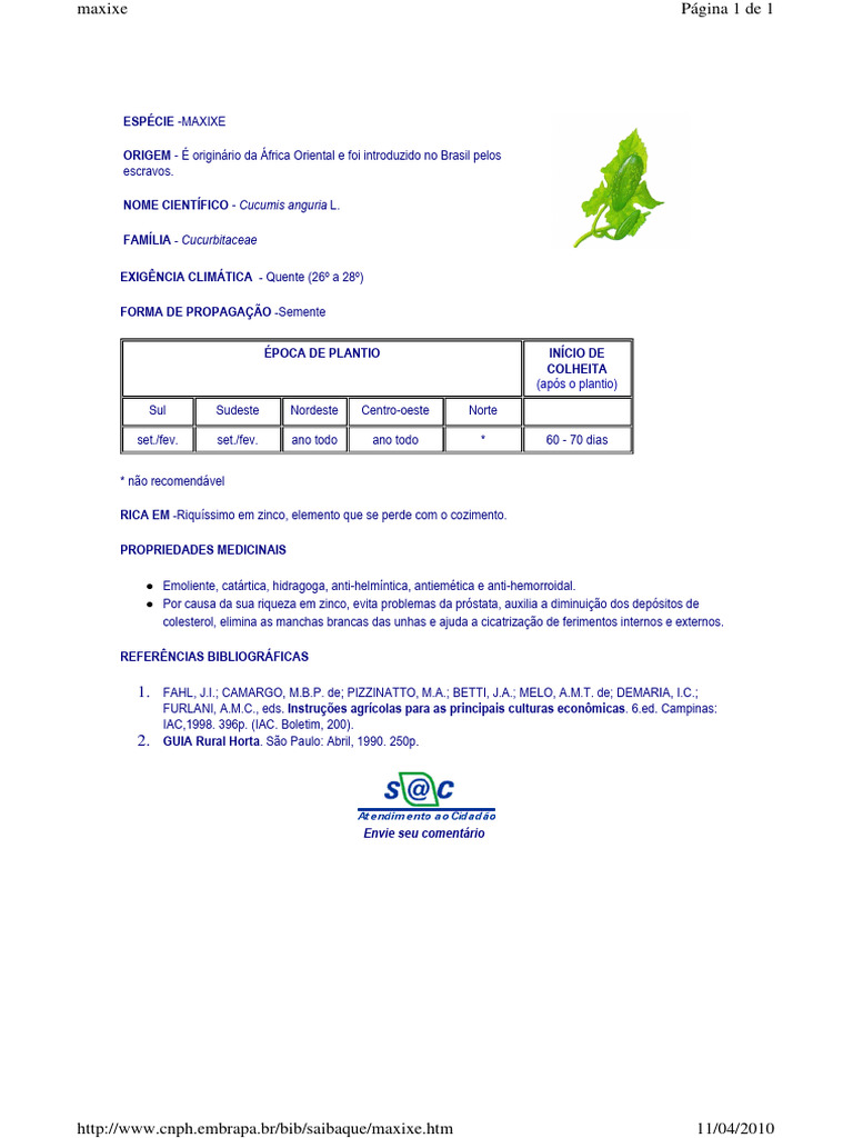 Propriedades do MAXIXE | PDF