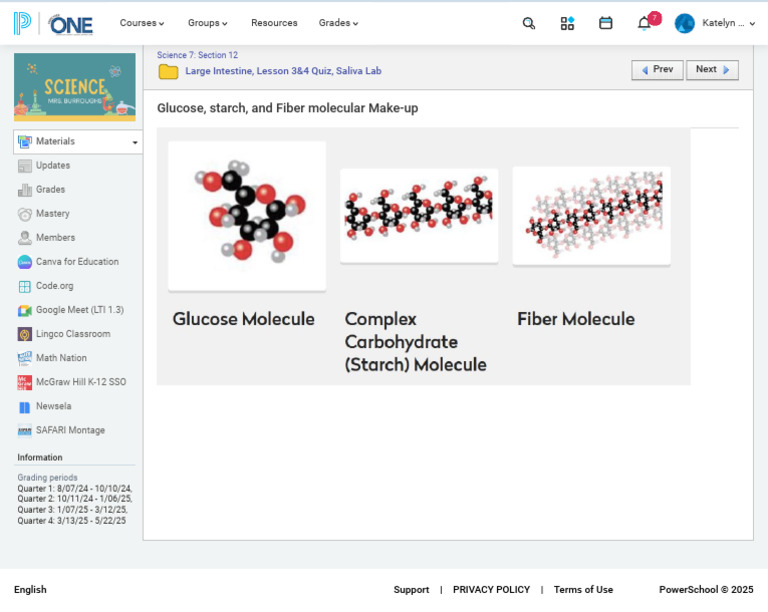 Glucose, Starch, And Fiber Molecular Make-up Schoology | PDF