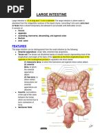Sigmoid Colon Length and Anatomy | PDF | Large Intestine | Rectum