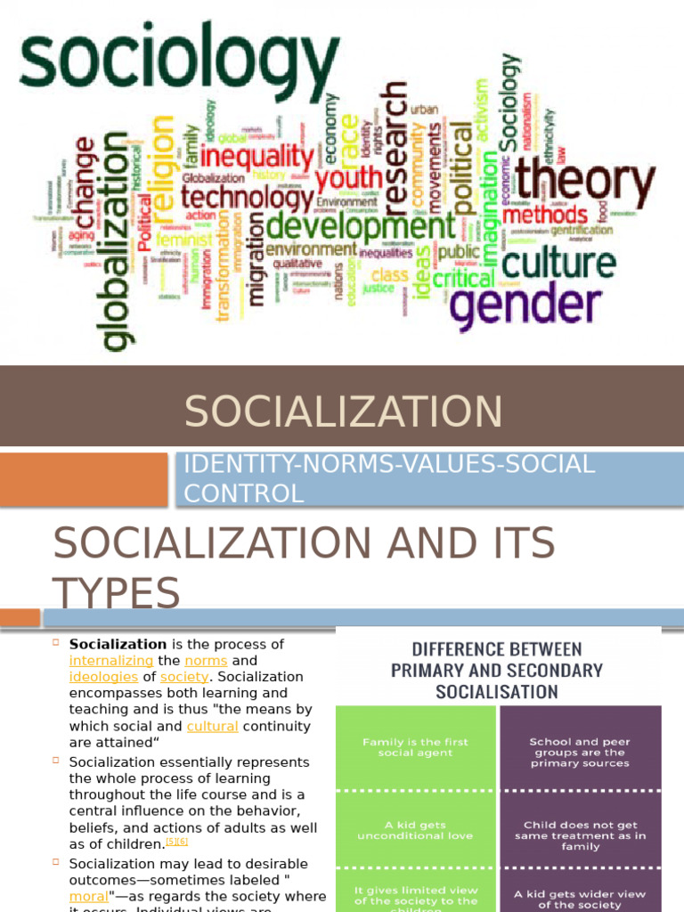 3 Socialization | PDF