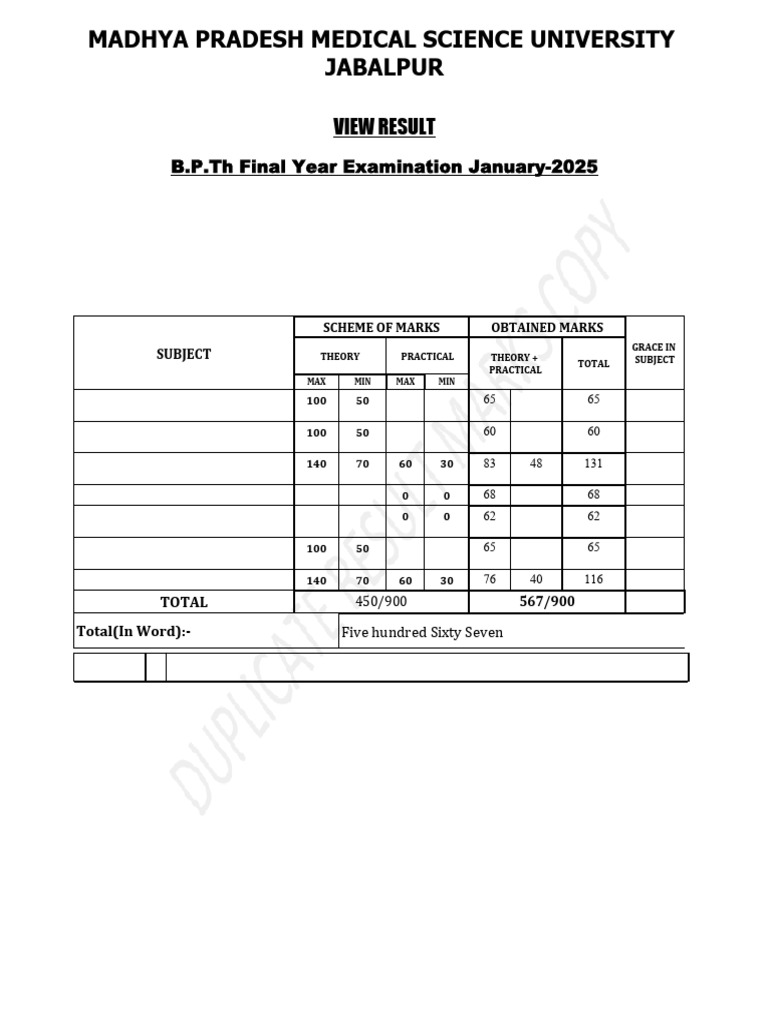 MPMSU BPT ThrirdYear Marksheet | PDF