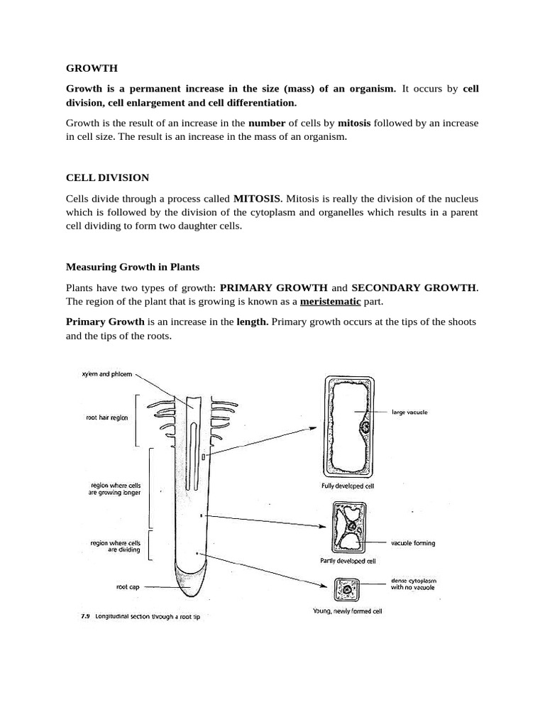 Growth, Germination of Seed | PDF | Seed | Seedling
