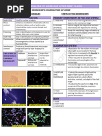 Urine Microscopic Examination Guide | PDF | Clinical Medicine | Anatomy