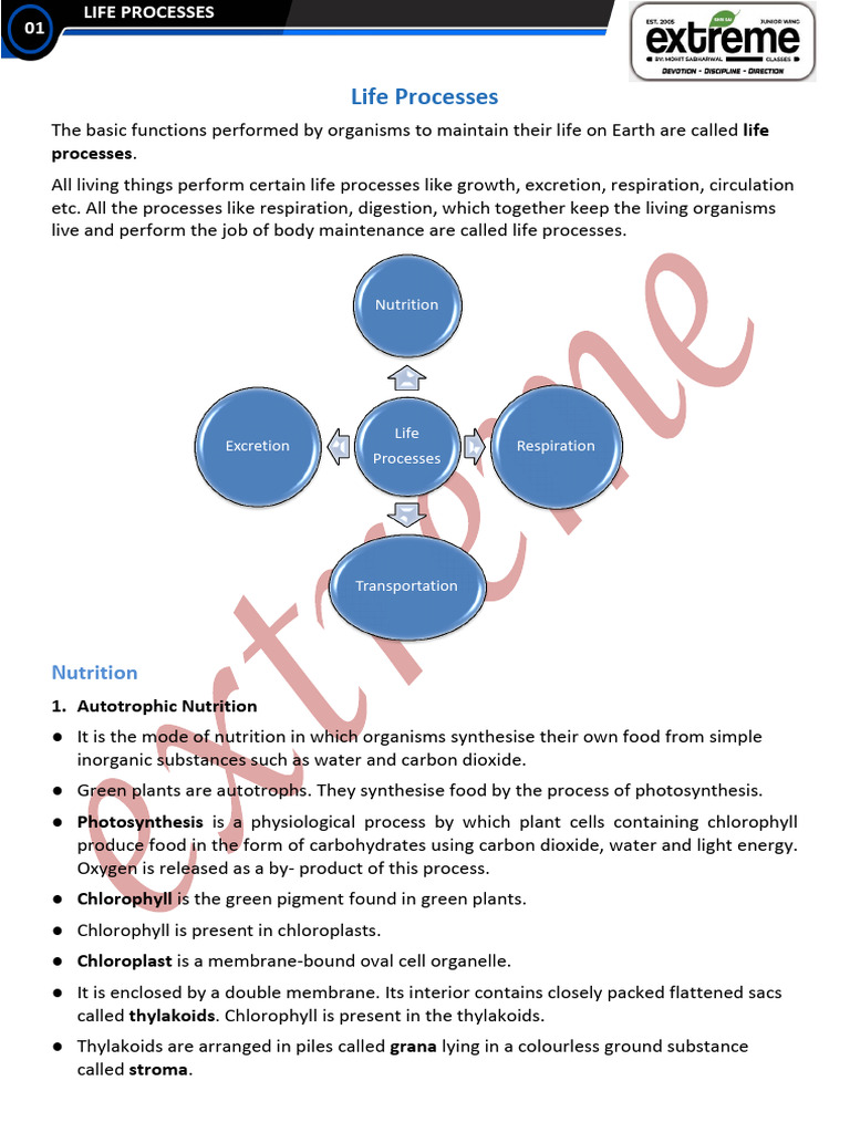 Chapter - 1 Life_Processes | PDF | Heart | Atrium (Heart)