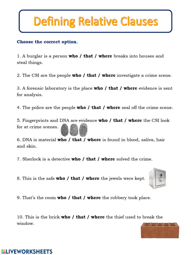 Defining Relative Clauses | PDF