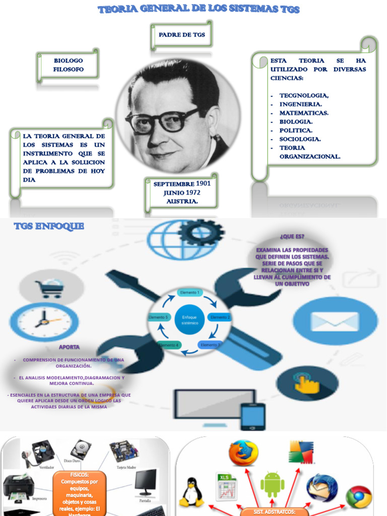 Infografia Teoria General de Los Sistemas | PDF