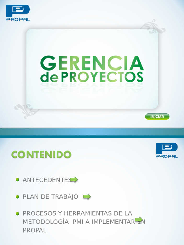 Implementación de Metodología PMI en Propal | PDF | Planificación ...