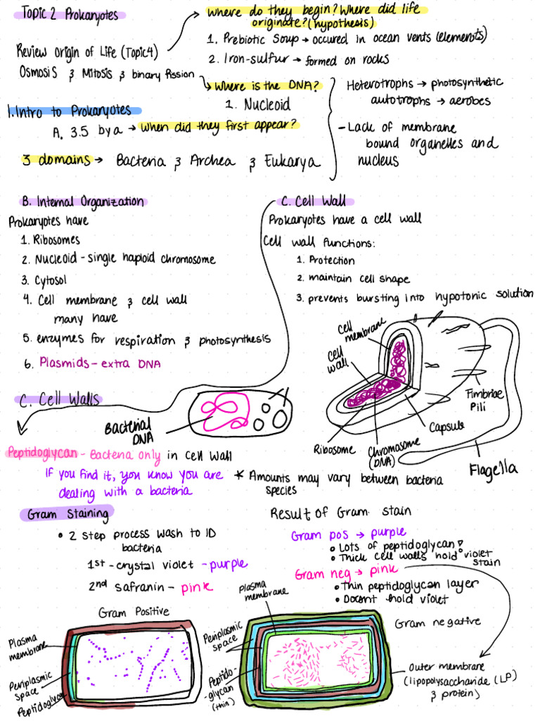 General Biology II Euk and Prok | PDF | Cell (Biology) | Prokaryote