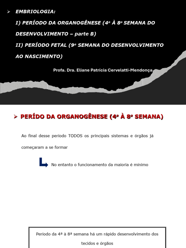 Embrio Aula2 UCII | PDF | Feto | Gravidez
