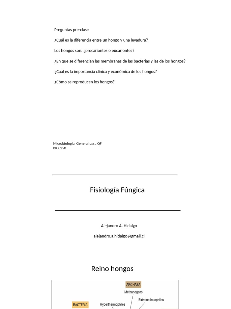 6 Biología+fúngica | PDF | Hongo | Levadura