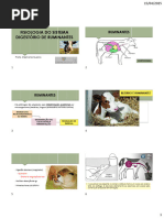 Mat. Estudos - Microbiota Ruminal - Nutrição de Ruminantes | PDF ...