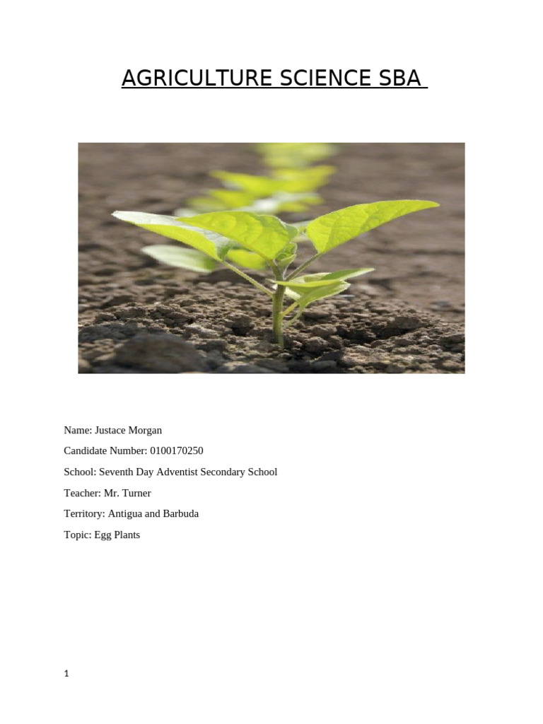 Agriculture Science PLANT SBA | PDF | Eggplant | Plants