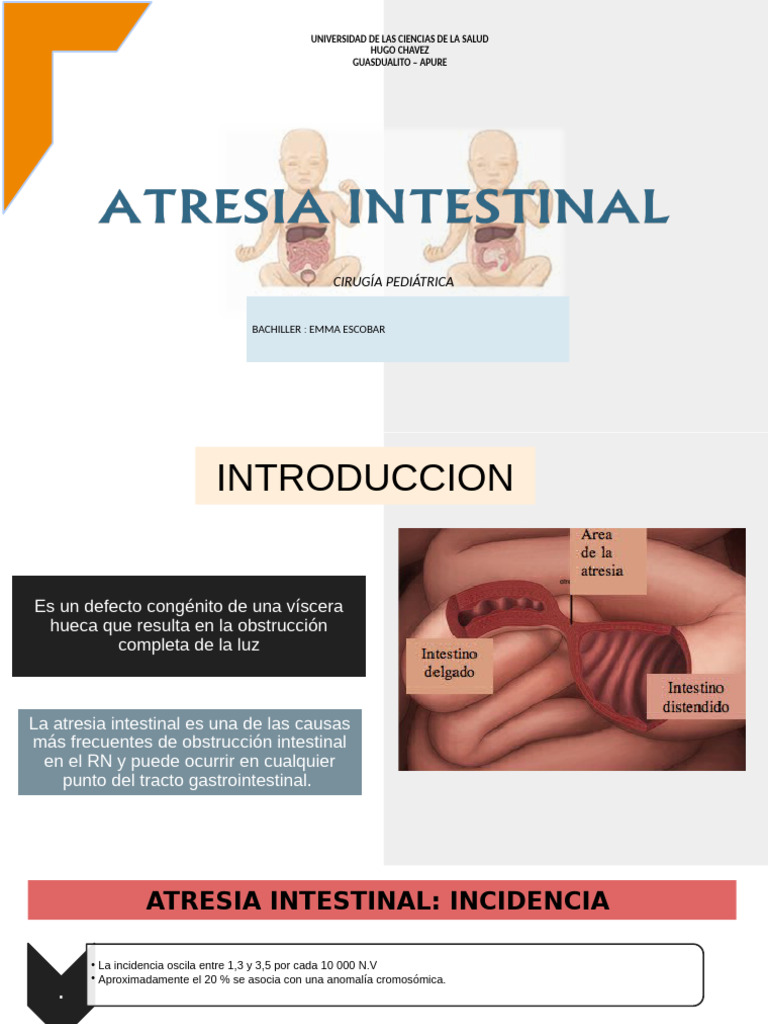 Atresias Intestinales | PDF | Especialidades Medicas | Gastroenterología