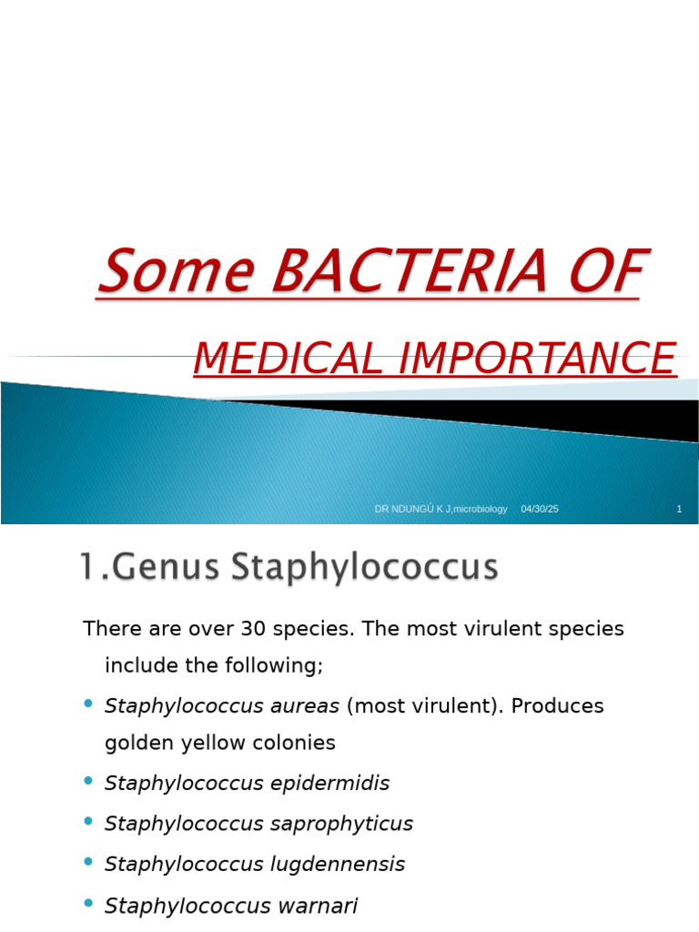 Bacteria of Medical Importance | PDF | Staphylococcus | Anthrax