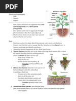 Plants Specialized Structures | PDF