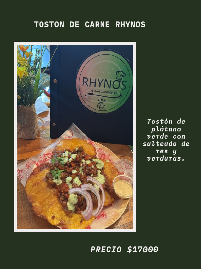 Tostón de Carne Rhynos | PDF