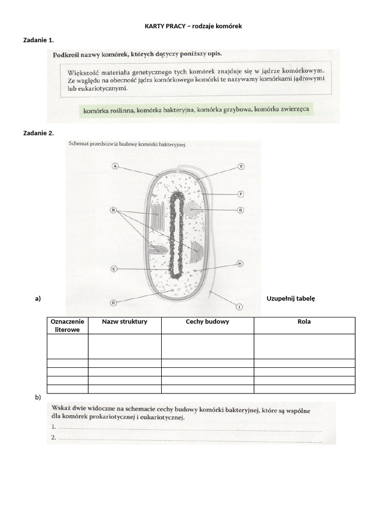 KARTY PRACY - Rodzaje Komórek | PDF