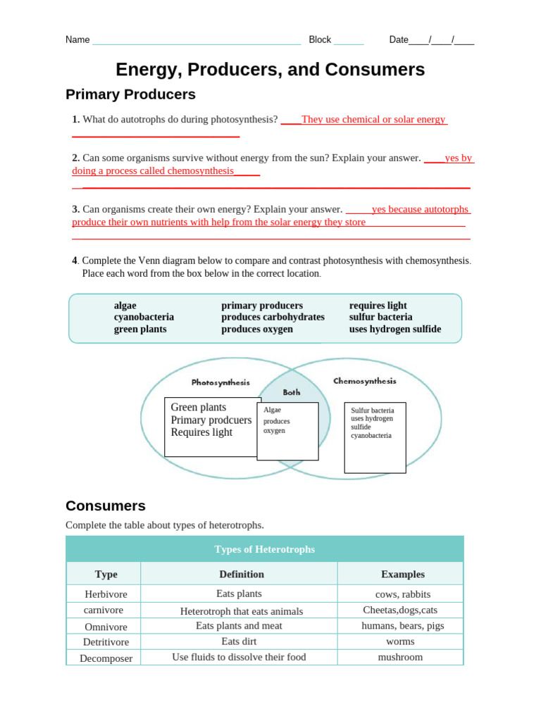 Energy, Producers, Consumers Worksheet | PDF | Systems Ecology | Organisms