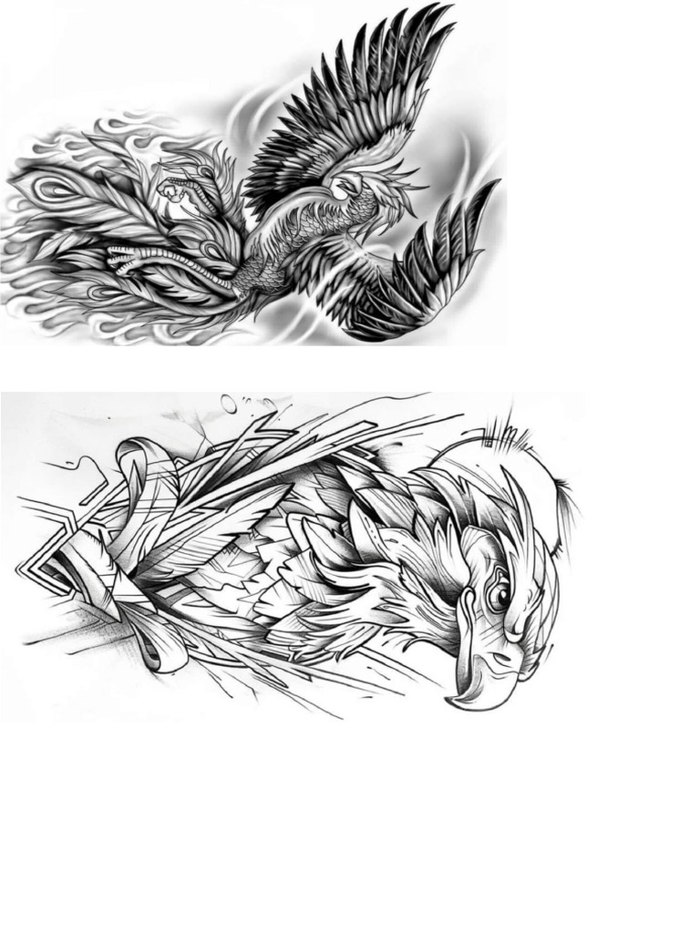 Fenix | PDF