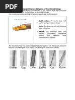 Hair Scale Patterns Lab Guide | PDF | Home & Garden