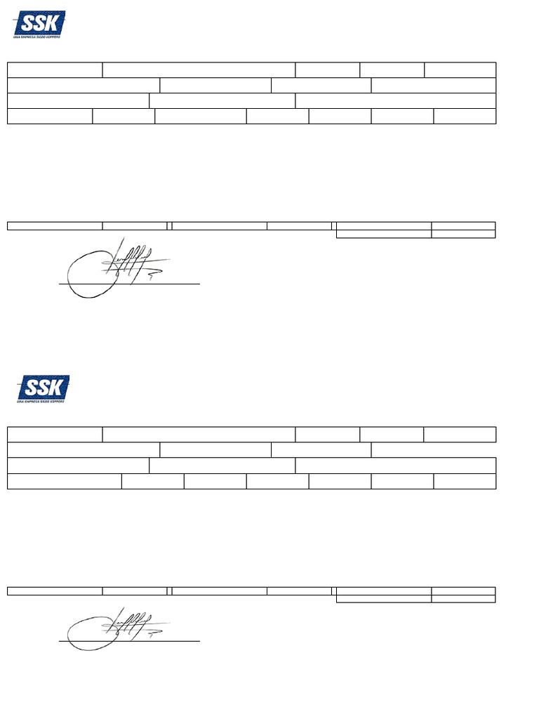 BOLETAS NOVIEMBRE SSK 1 | PDF
