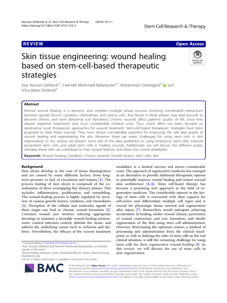 Skin Tissue Engeneering | PDF | Wound Healing | Embryonic Stem Cell
