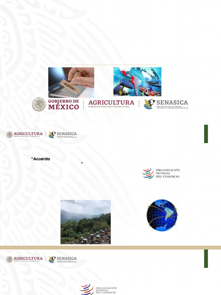 Requisitos de Exportaci N Miel-Pecuario | PDF