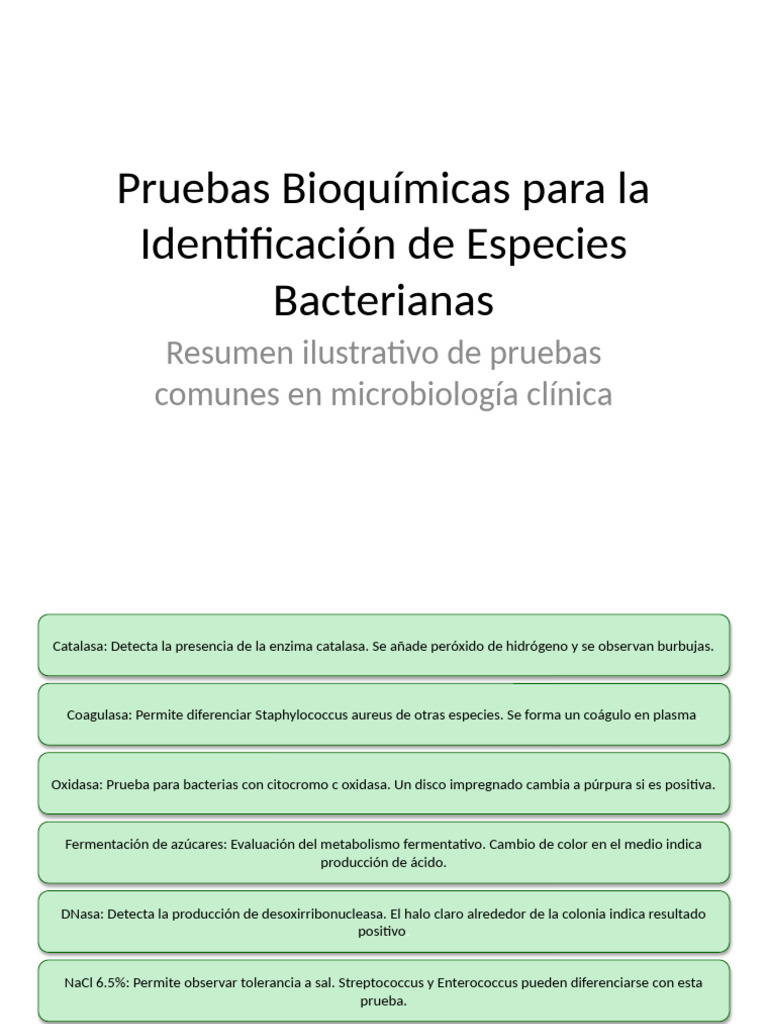 Infografia Pruebas Bioquimicas | PDF