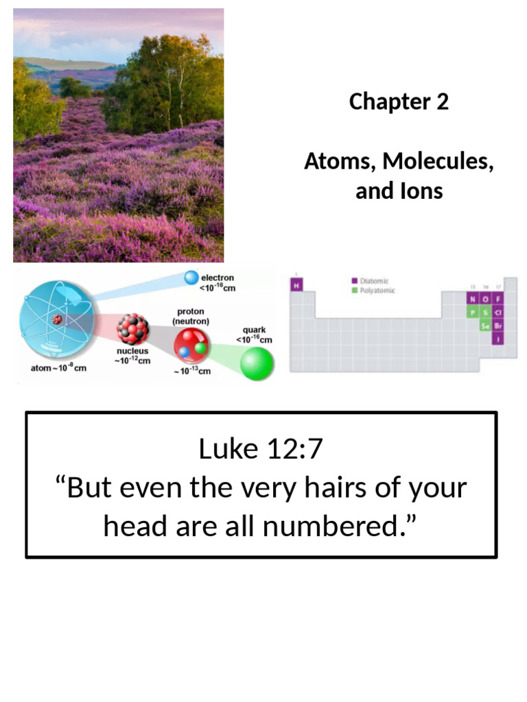 CHAPTER 2 Atoms Molecules Ions - Canvas | PDF | Ion | Chemical Compounds