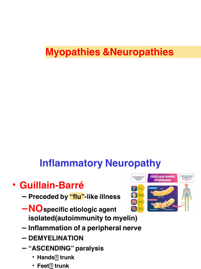 22-Myopathies and Neuropathies | PDF | Muscular Dystrophy | Autoimmune ...
