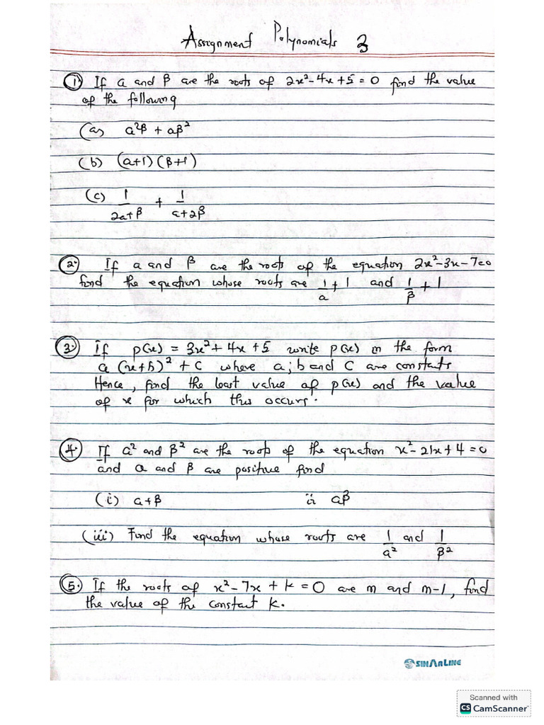 Polynomial Assignment 3 | PDF