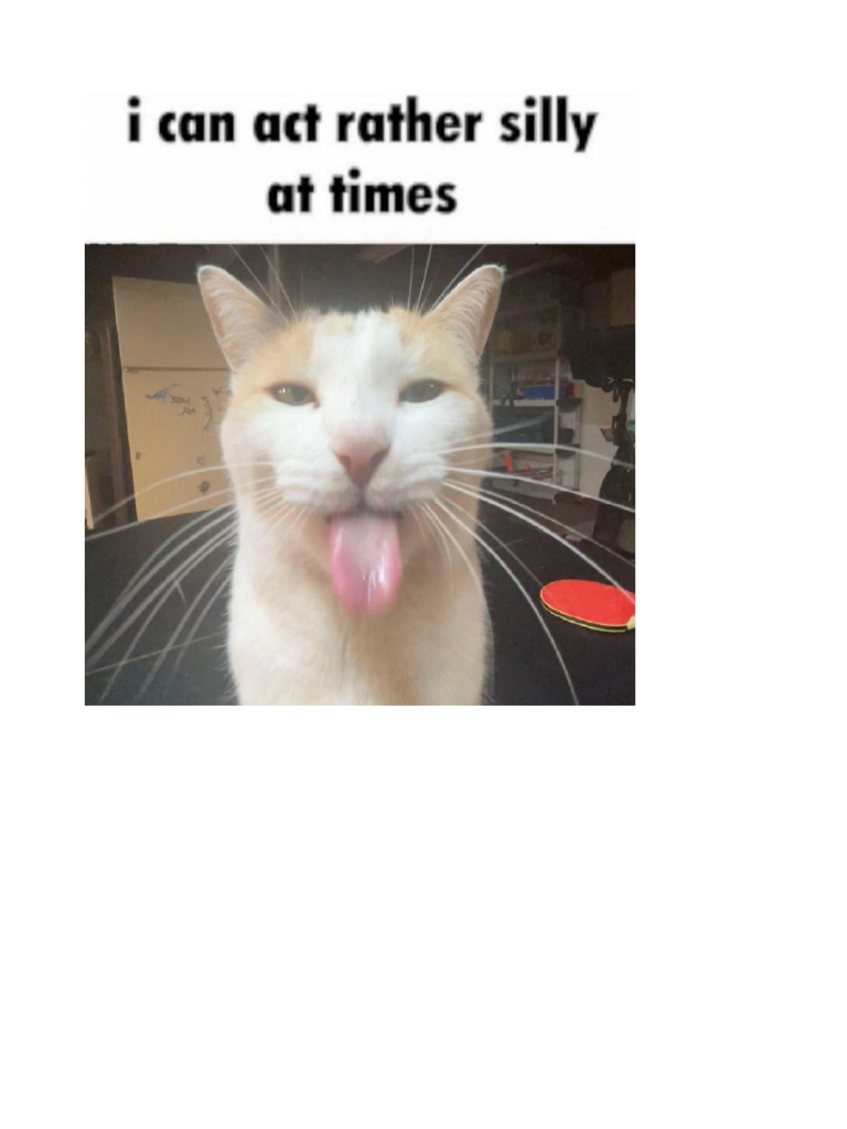Cat Memes | PDF