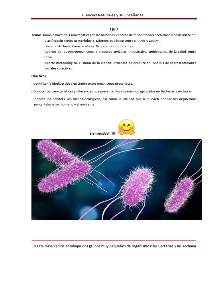 Eje 3 Bacteria-Archaea | PDF | Las bacterias | Archaea