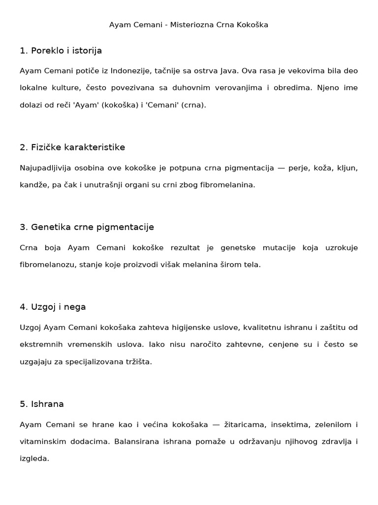 Ayam Cemani - Informativni Dokument | PDF