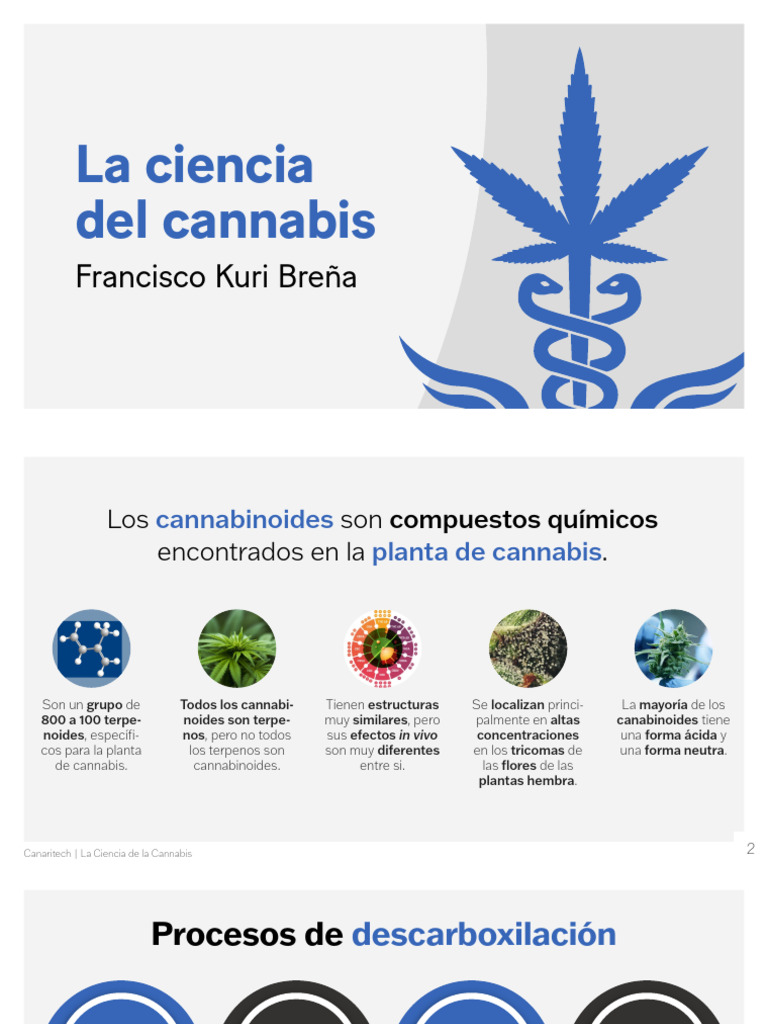La Ciencia Del Cannabis 1715206008 | PDF | Drogas Psicoactivas | Canabis