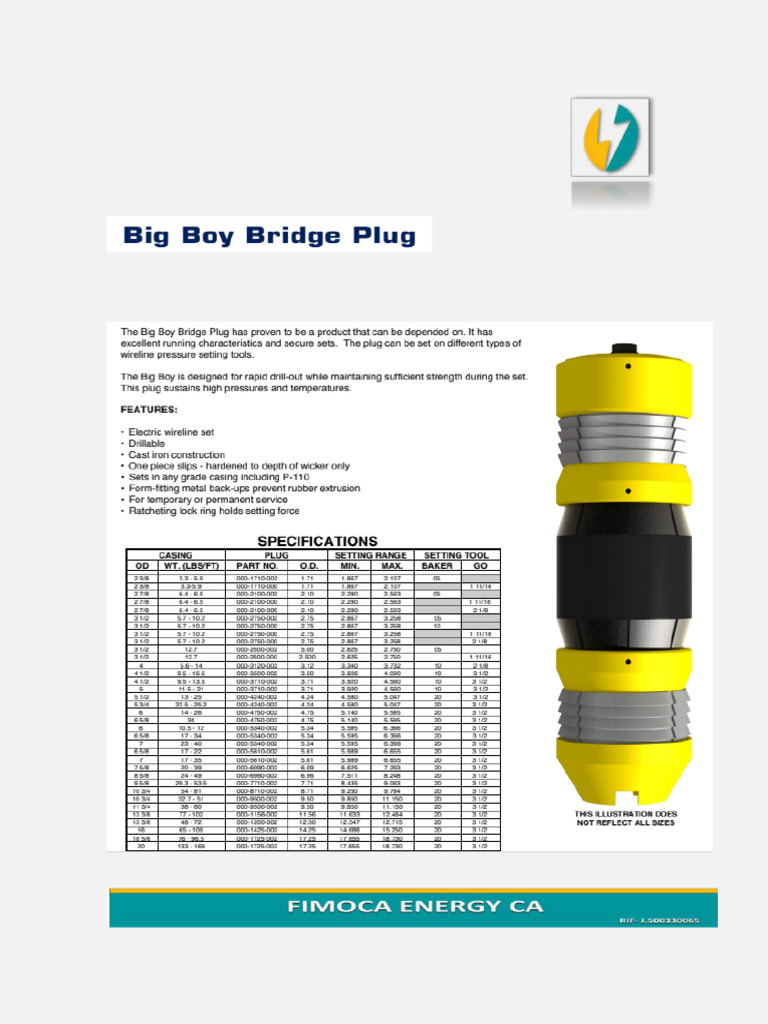 BTS Bridge Plug | PDF