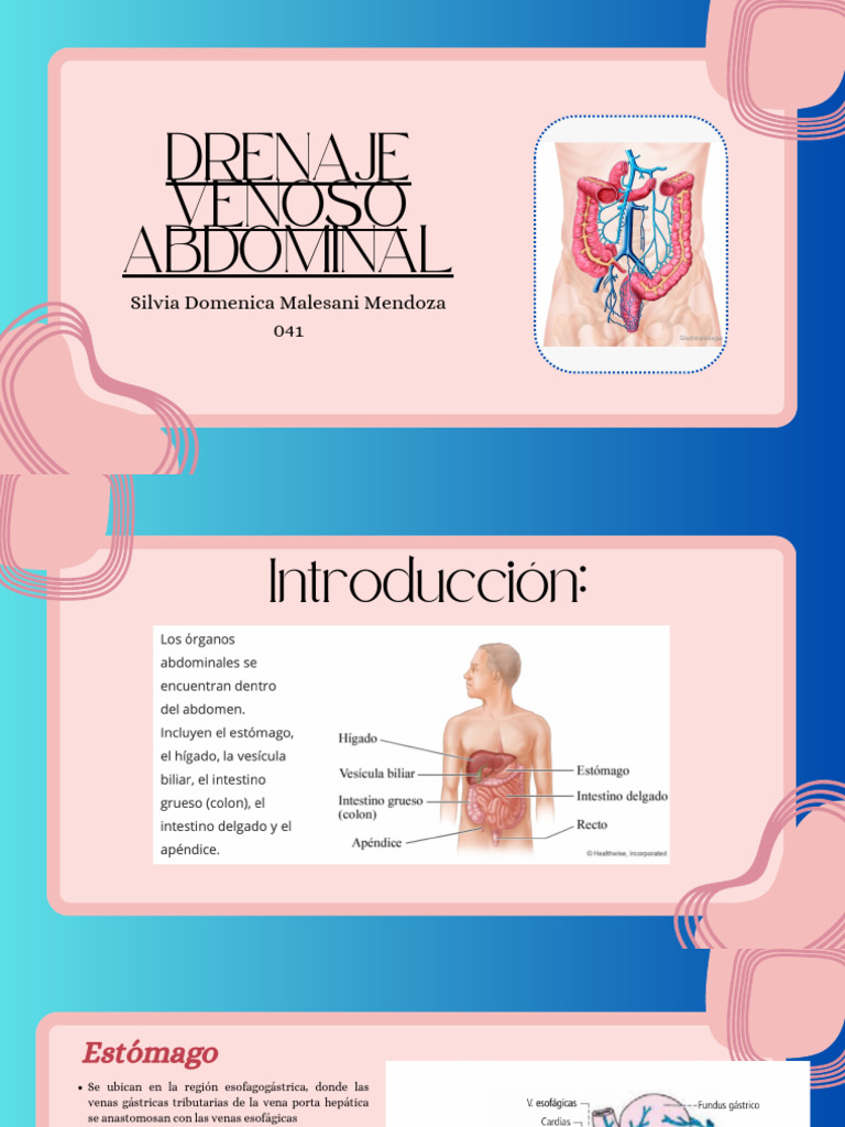 Presentación 2do parcial | PDF