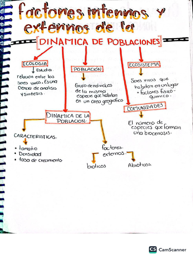 Factores Internos y Externos | PDF