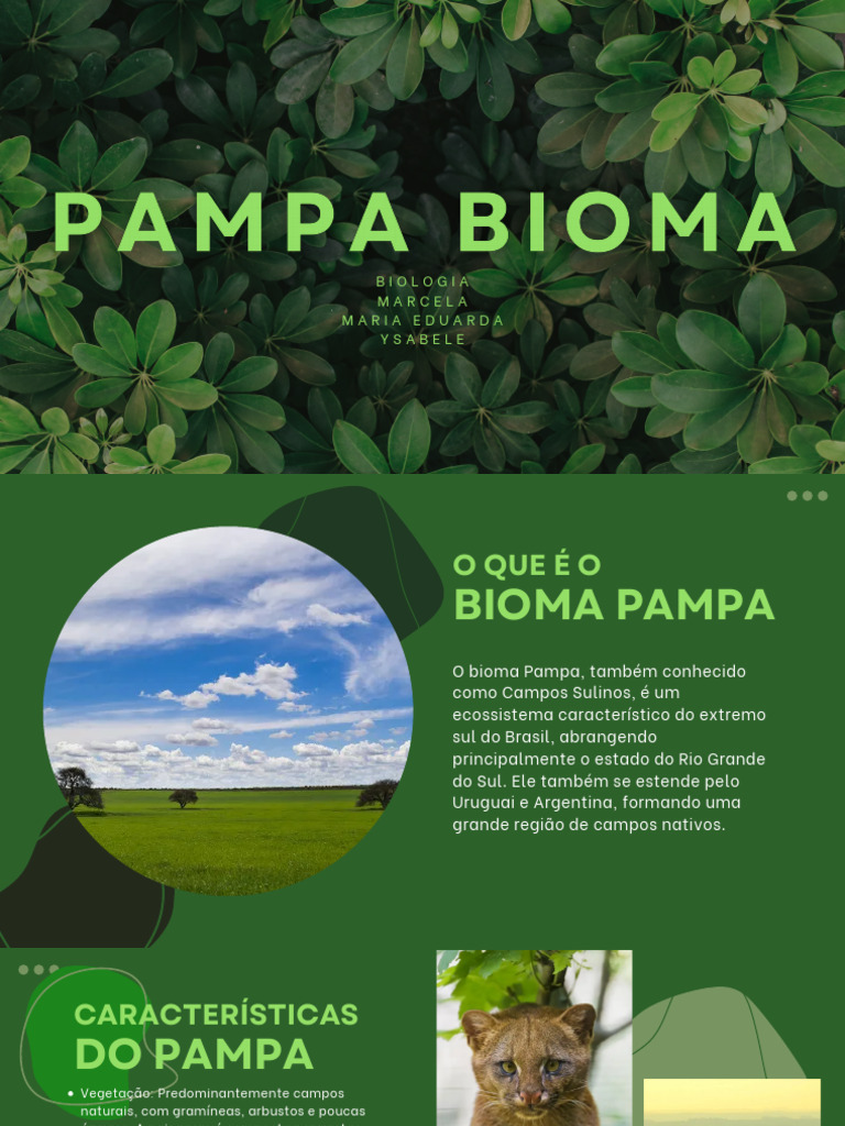 Trabalho Biologia - Pampa | PDF | Ambiente natural