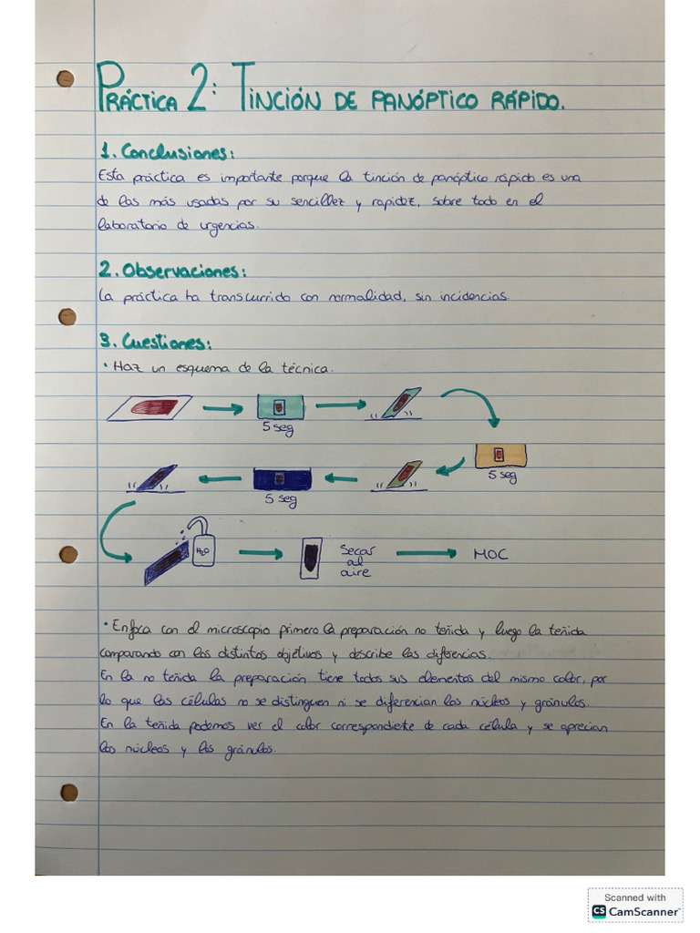 Hema Práctica 2 | PDF