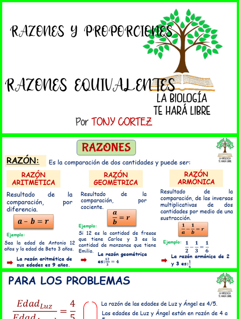 Aritmética - Tony Cortez | PDF | Proporción | Matemática Elemental