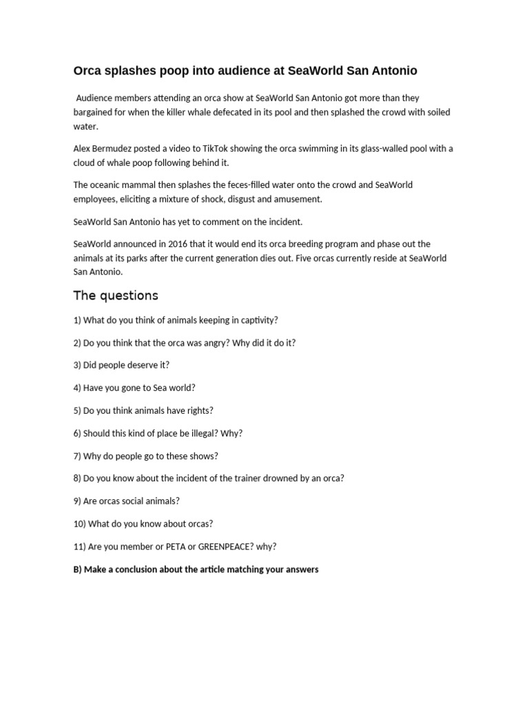 Exercise 1 The Orca | PDF