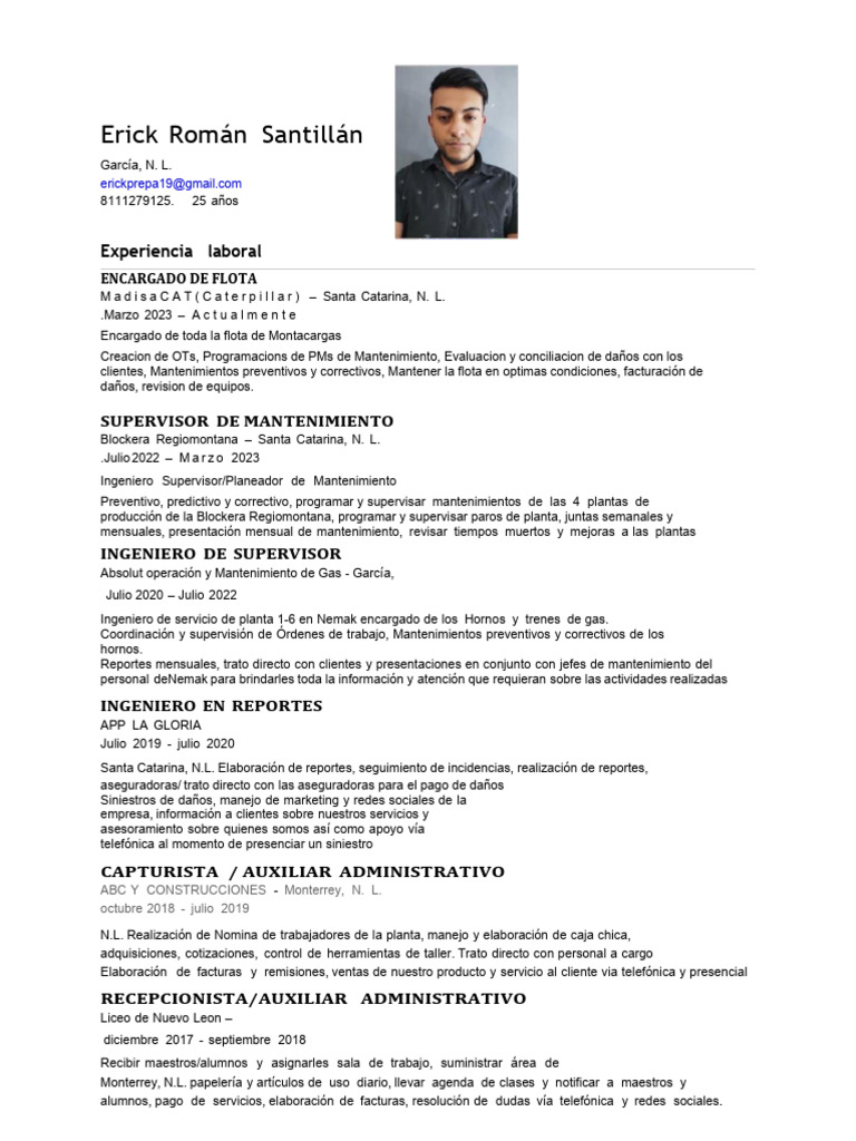CV Erick 2023 | PDF