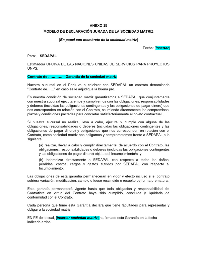 Anexo N°15 - DJ de Sociedad Matriz (Socio) | PDF