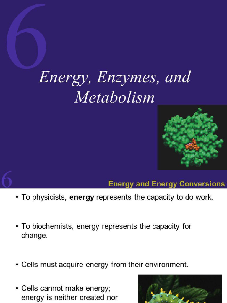 Chapter 3 PPT Supplementary | PDF