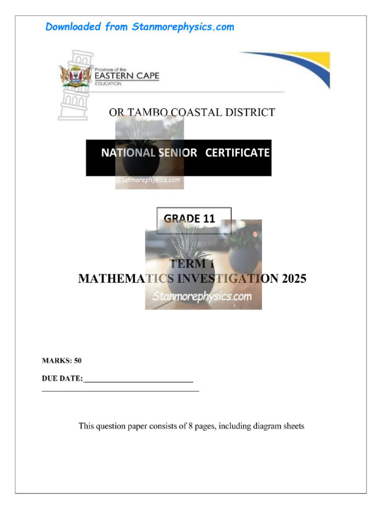 EC Maths Grade 11 INVESTIGATION Term 1 2025 | PDF