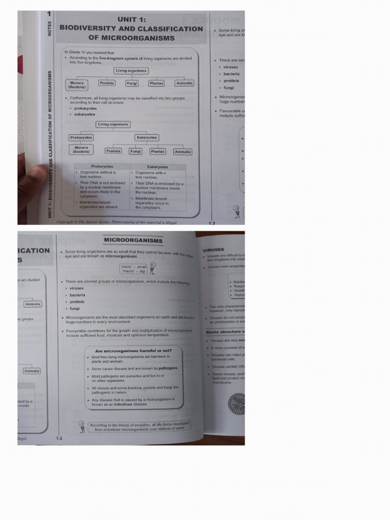 Biodiversity and Classification of Microorganisms - 250201 - 091406 | PDF