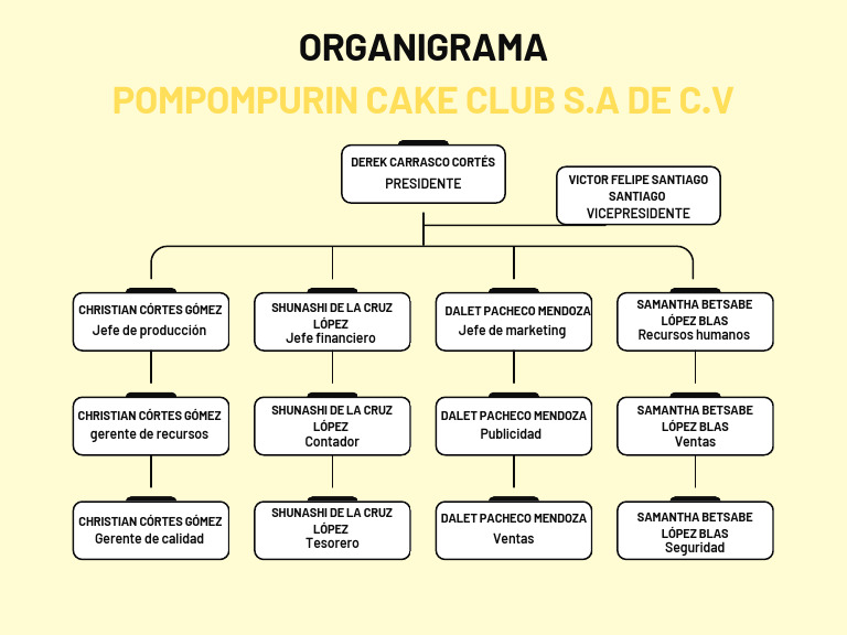 Grey and White Minimalist Company Organization Chart_20241115_125450 ...
